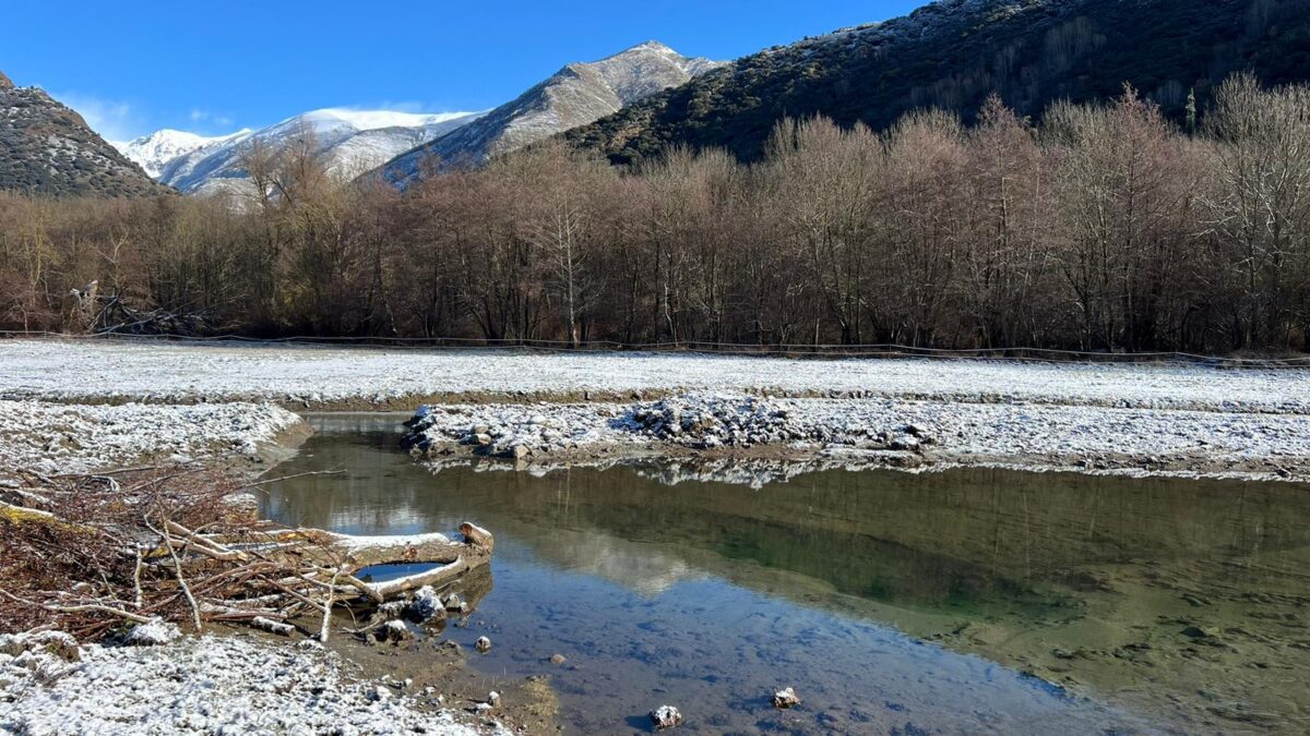 El Pla de Salito conservarà una planta aquàtica única